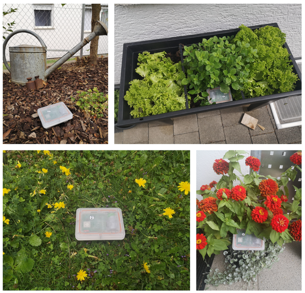 Smart Gardening: Monitor Soil Moisture with the Tektelic Agriculture ...